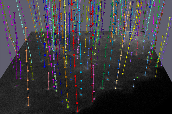 Erik Meijering - Research